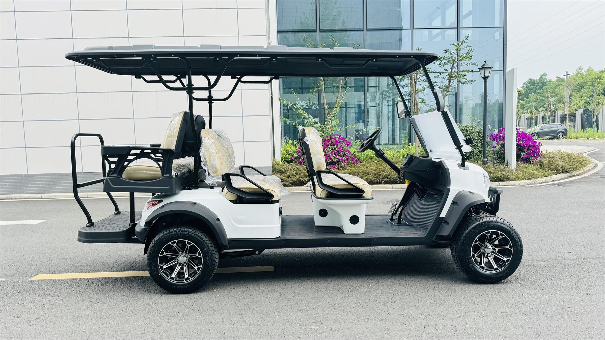 Long Endurance Energy-saving Golf Cart L4+2